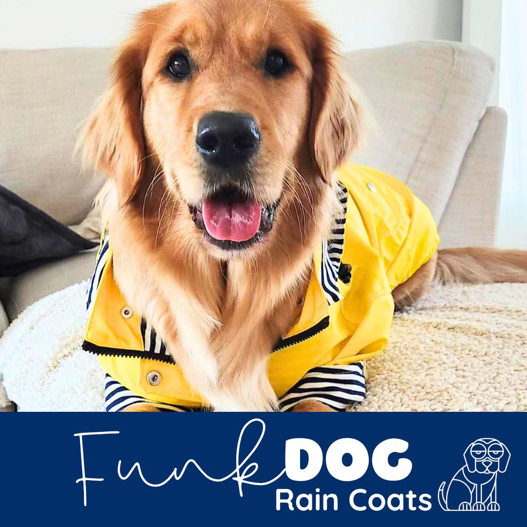 Funk Dog - Lux dog raincoats & dog accessories